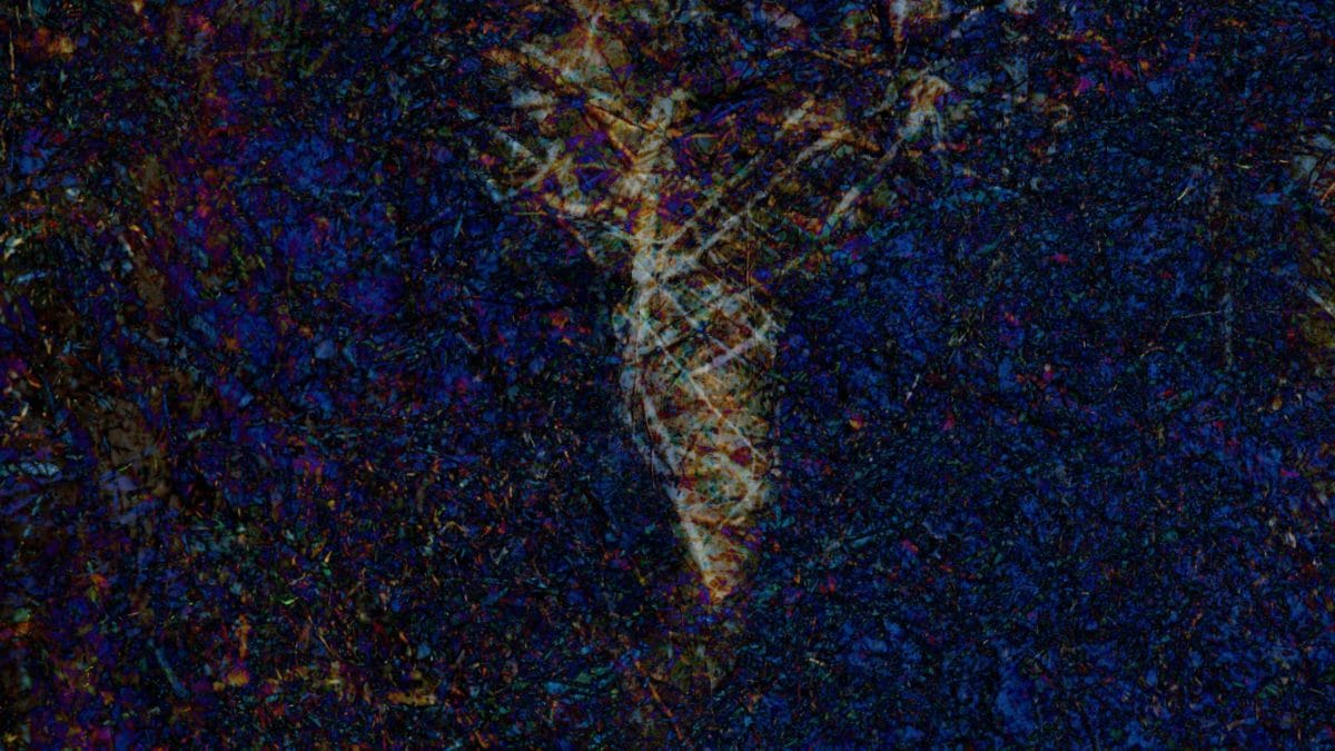 Concrescence - Environmental Film Festival