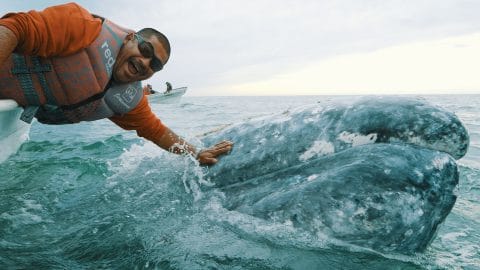 Watch Now - 300+ Free Environmental Films - DCEFF