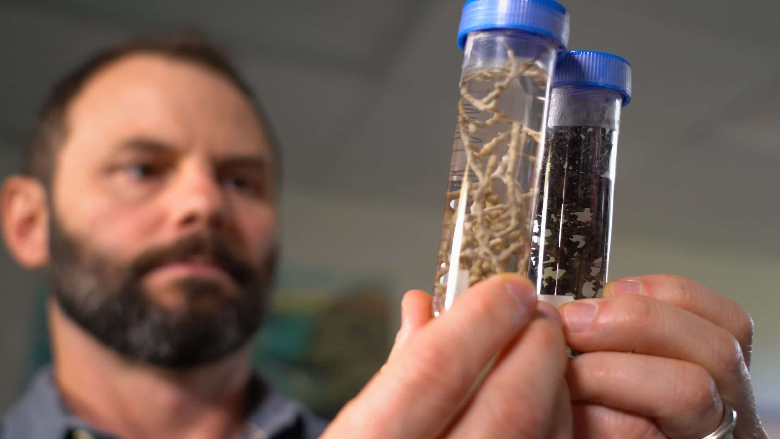 Changing Seas: A Decade After Deepwater - Watch Now - DCEFF