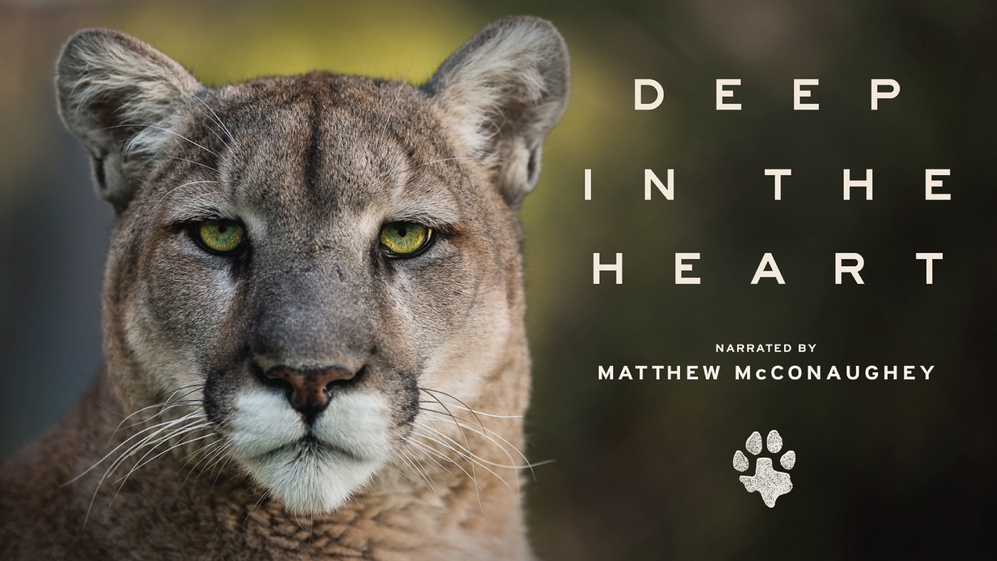 Deep in the Heart - Watch Now - DCEFF